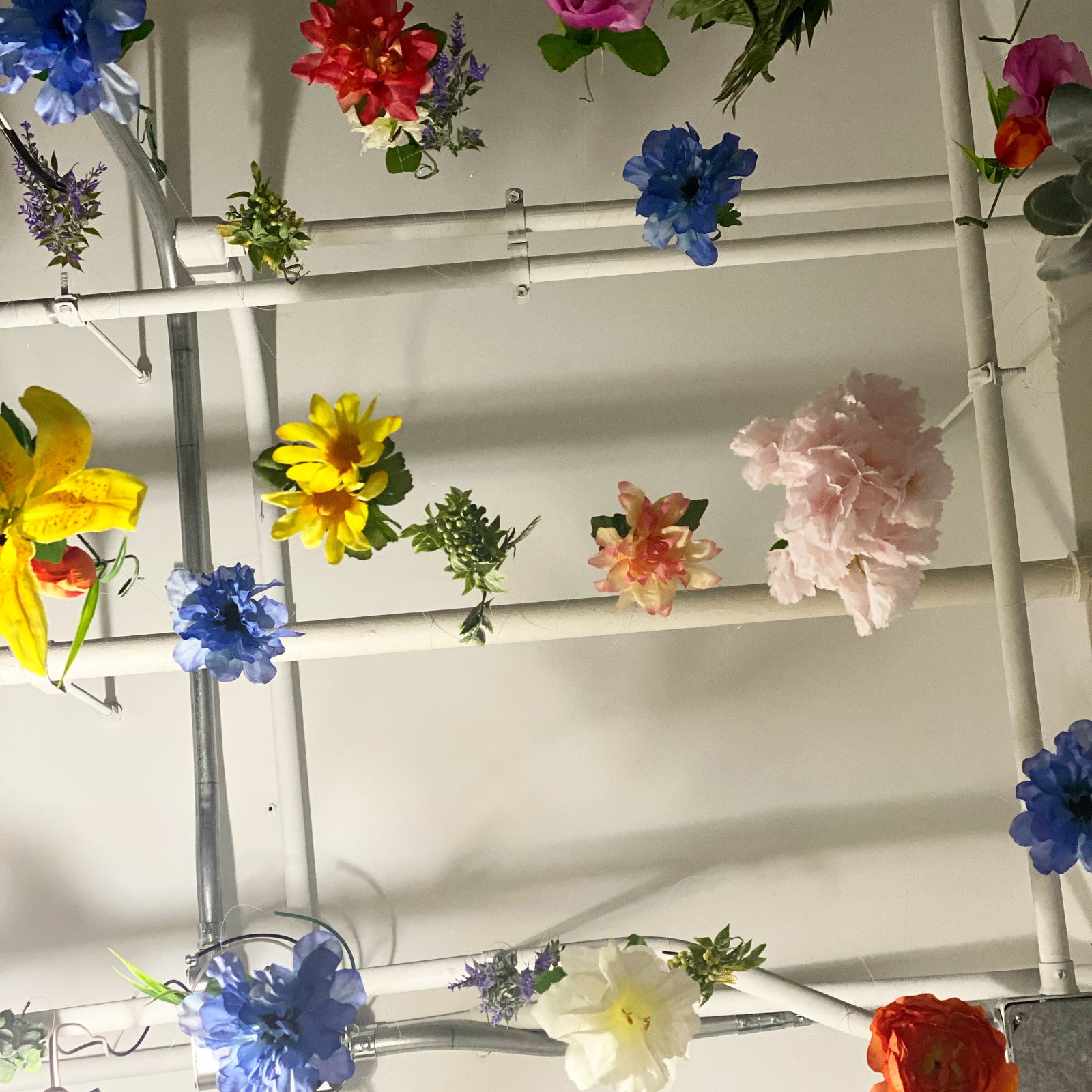 About | Primp and Play